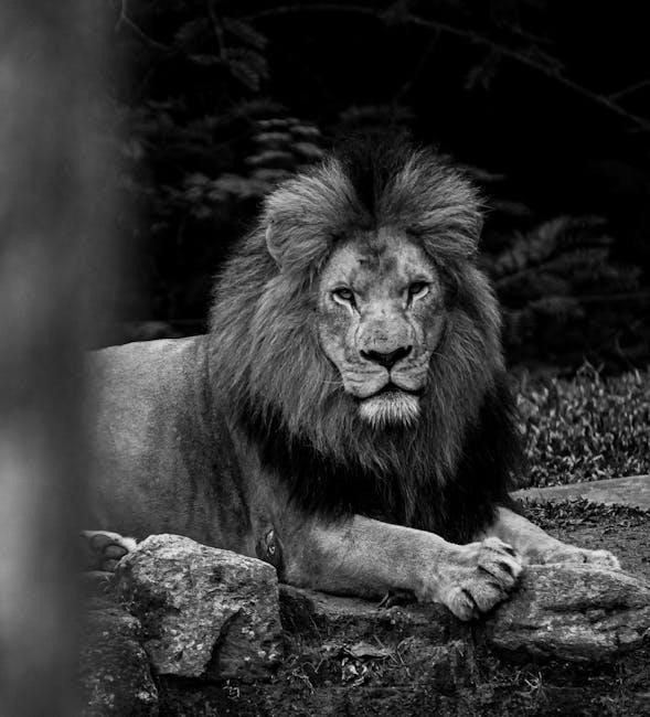 The Lion King Jr Script PDF - Free Download Instantly!