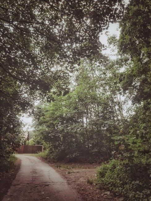 Denture Shade Guide: Your Ultimate Guide to Perfect Denture Shades